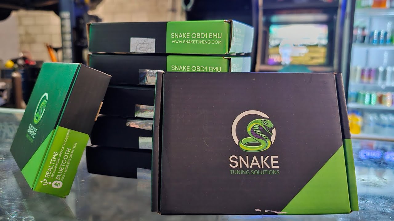 Snake 🐍 OBD1 Ecu - YouTube