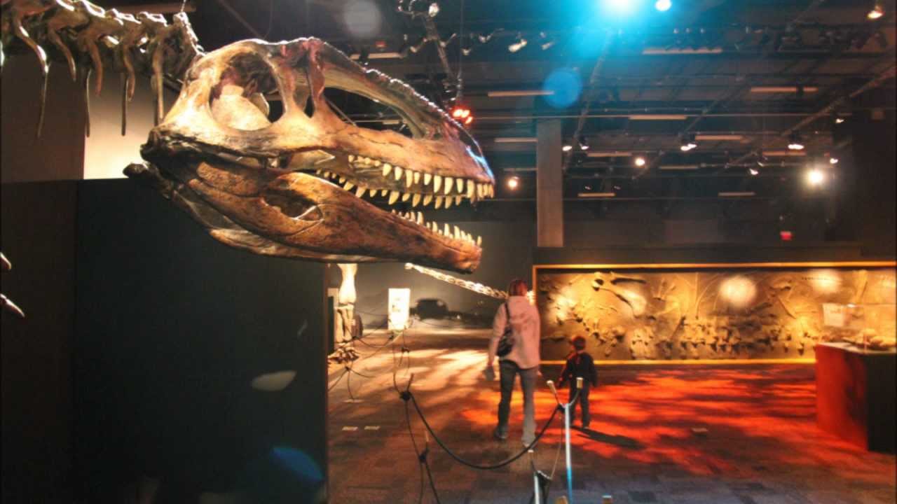 Alex at the Arizona Science Center in Phoenix - YouTube