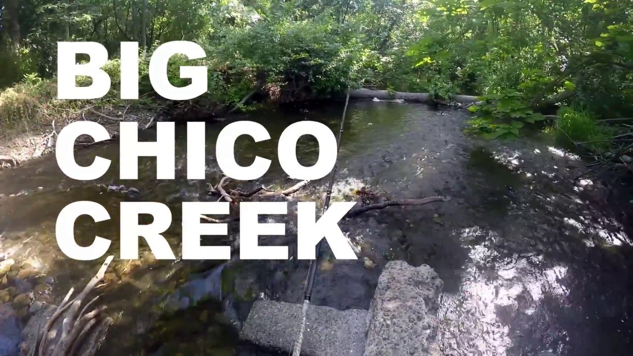 Fishing Big Chico Creek for BASS - YouTube