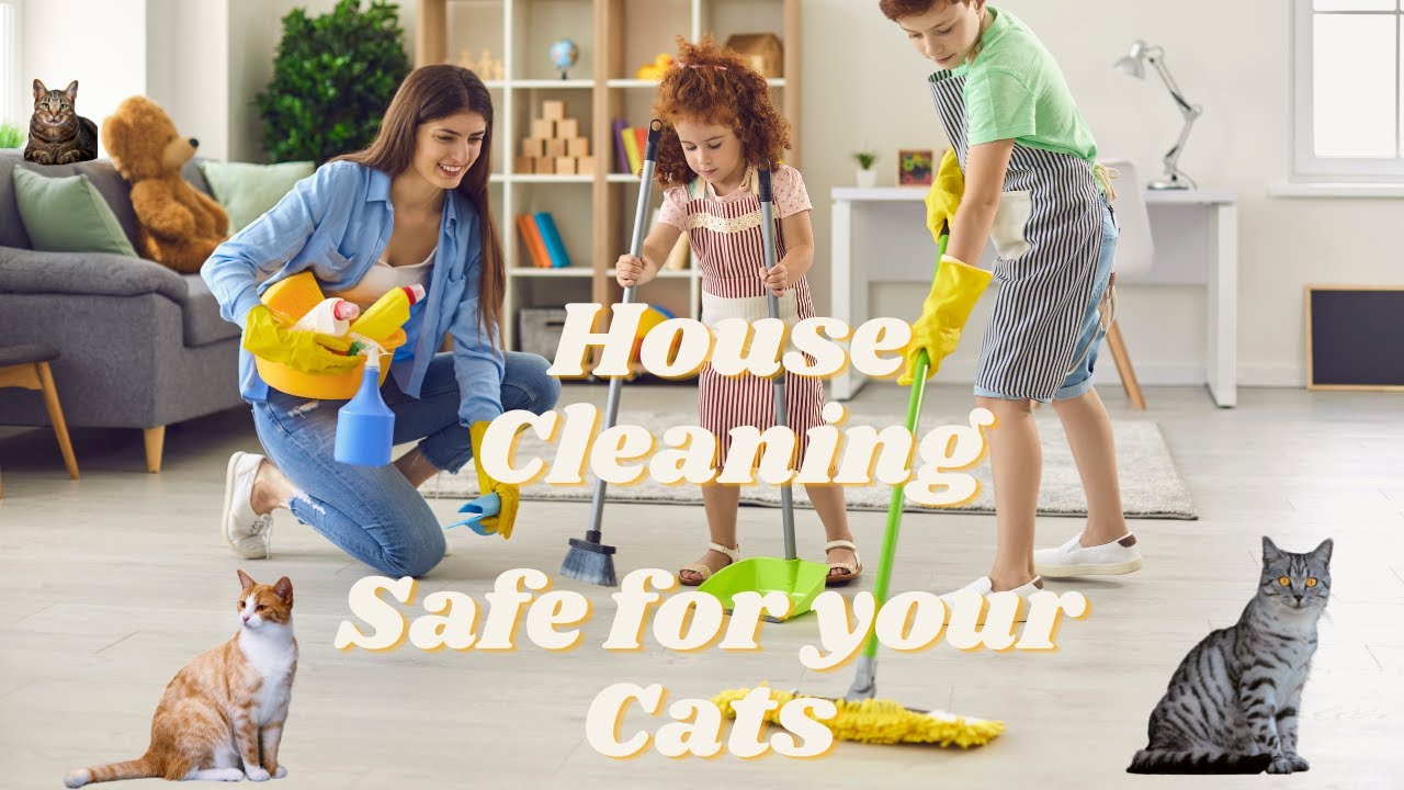 The Clean Sweep: Cat-Friendly Cleaning Tips That Will Leave Your Home ...