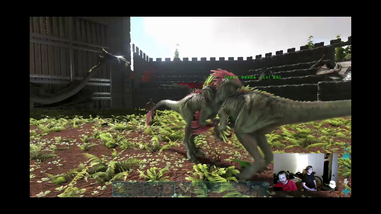 Ark Coliseum Events!!! Raptor Fights! week 2 Fight 7 - YouTube