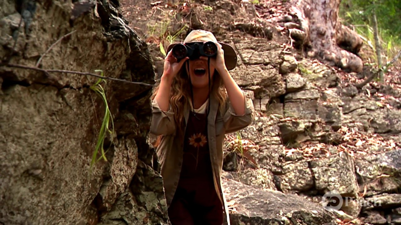 Not your ordinary rock collection... - YouTube