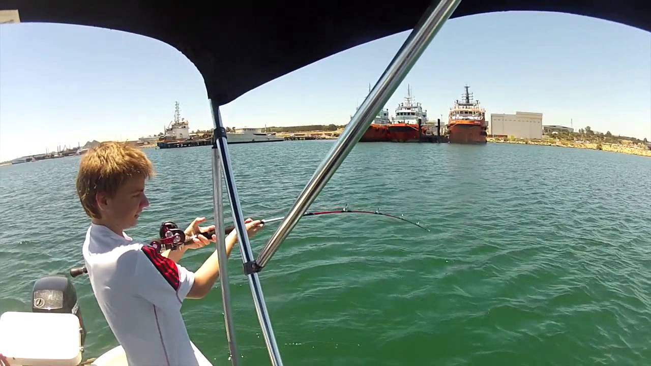 Stingray Fishing In Perth - YouTube