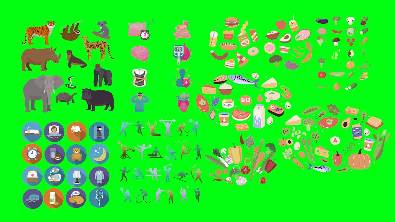 Healthy Food Animation Green Screen | Meat and Vegetable #viral #health ...