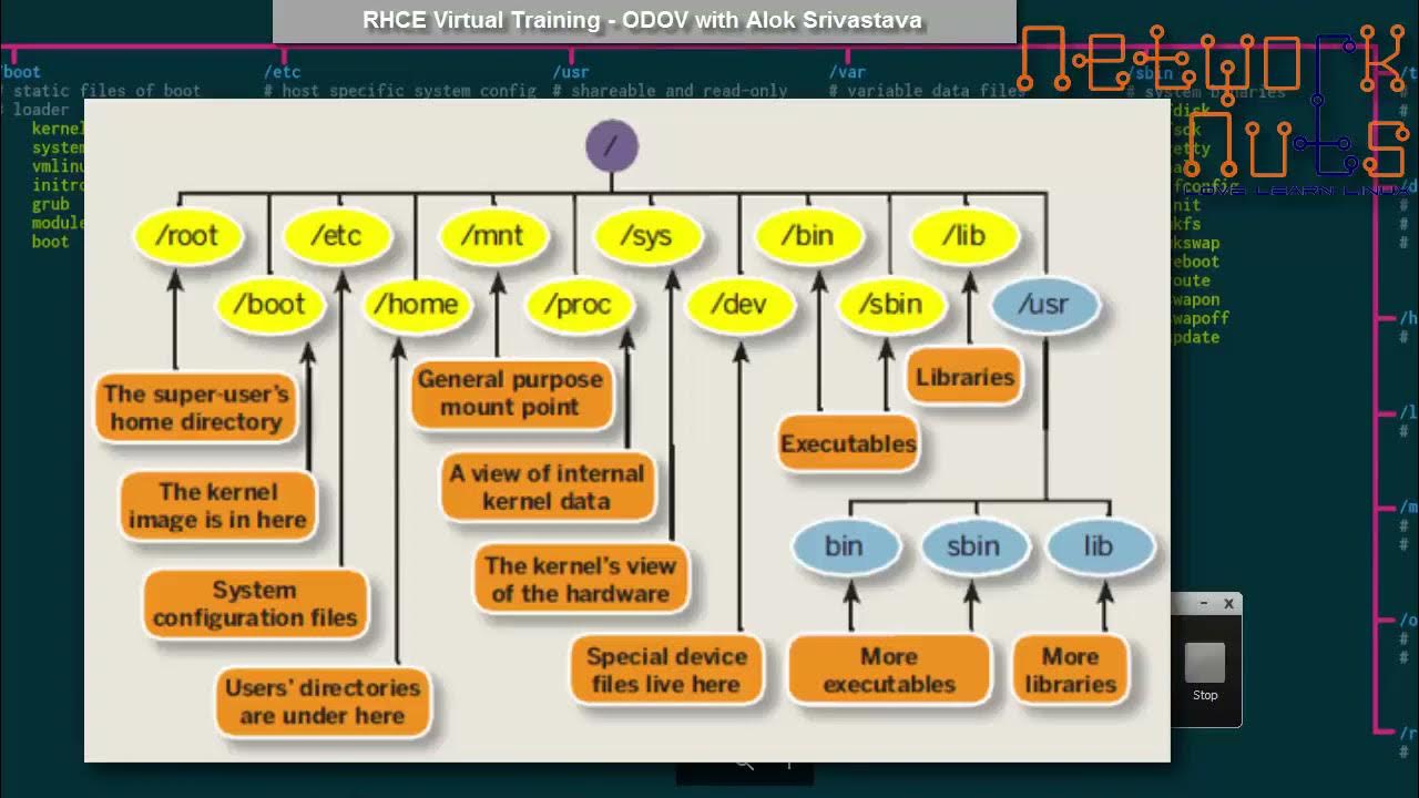 Day 3 Understanding Linux File System - YouTube
