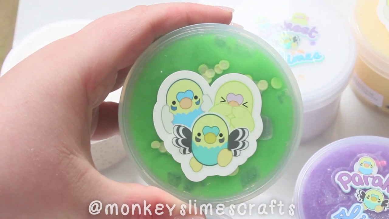 $50 Parakeet Slime Review🦜😍 - YouTube