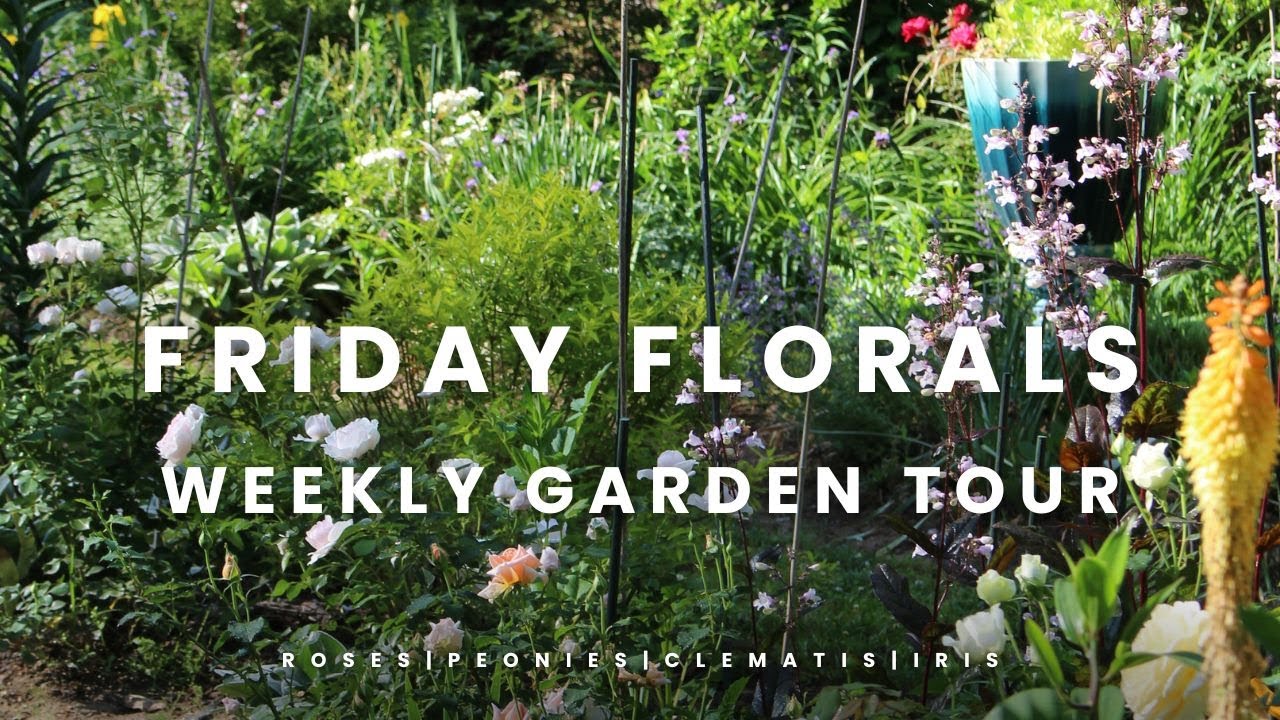 Friday Florals Weekly Garden Tour May 3 - YouTube