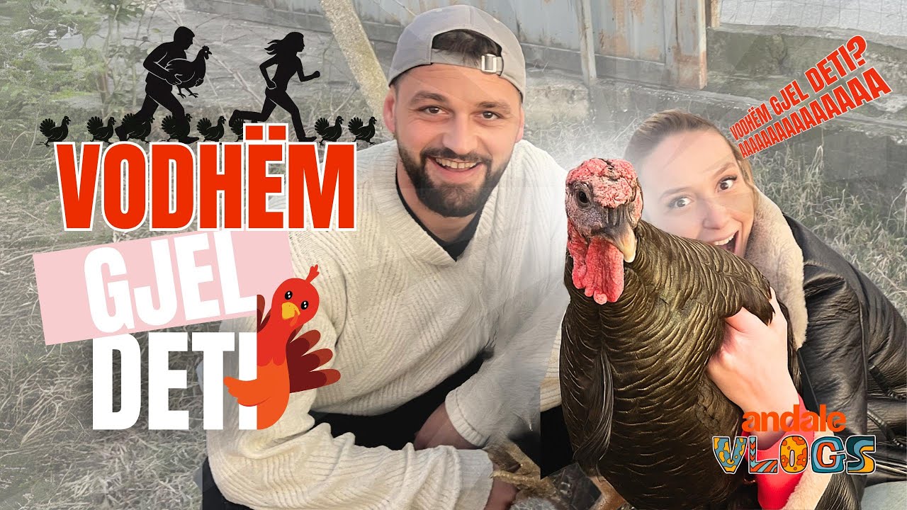 VJEDHIM GJEL DETI, BREDH NË MAL DHE VERË TË KUQE PËR NATËN E VITIT TË ...