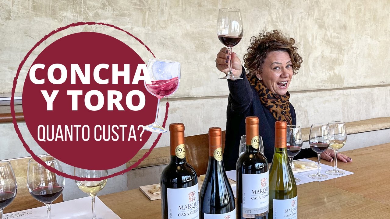CONCHA Y TORO: Como é o tour e a degustação na MAIOR vinícola do Chile ...