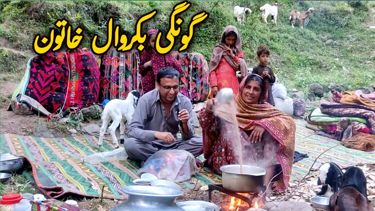 Bakarwal Women Making Tea||گونگی بکروال خاتون|| - YouTube