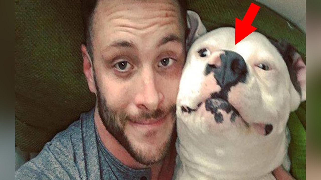Guy Posts This Picture Of His New Dog And People Immediately Call The ...