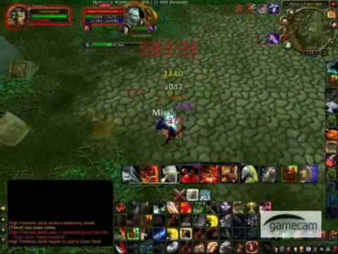 Warrior solo Bat boss in ZG - YouTube