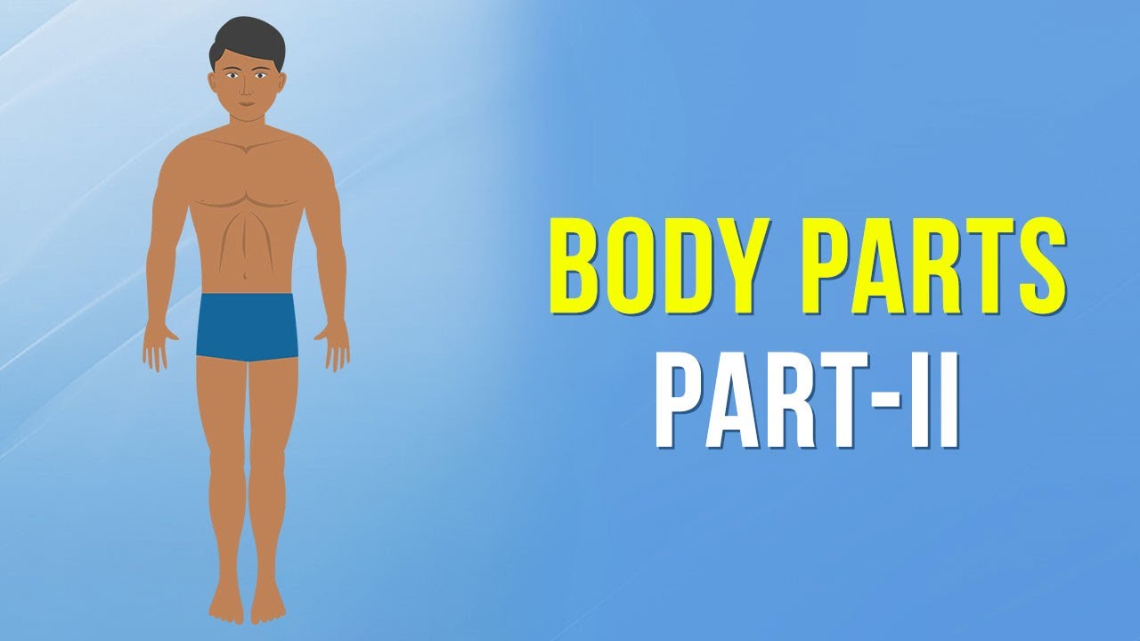 At the Doctor's: Body Parts - 2 | Arms and Legs - YouTube