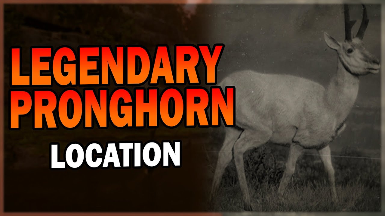 Legendary Pronghorn Location in Red Dead Redemption 2 - Red Dead ...