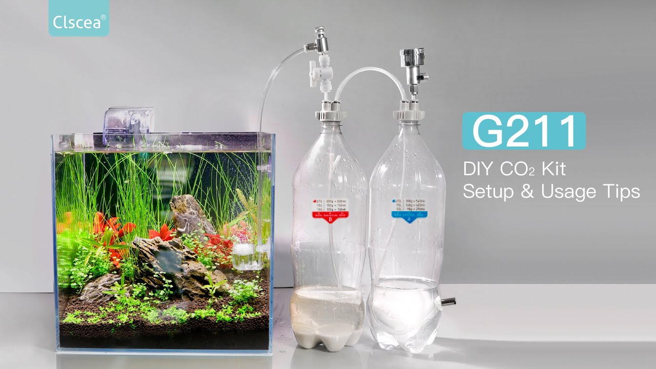 Clscea DIY CO2 kit setup and usage tips of G211 - YouTube