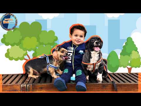 BENITUBE TEM DOIS CACHORROS - Música Infantil - BINGO