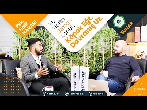 KÖPEKLERE FISILDAYAN ADAM İLE KONUŞTUK… (Psk. Halit HAVARİ) - #köpek #eğitim #evcilhayvan #miyahav