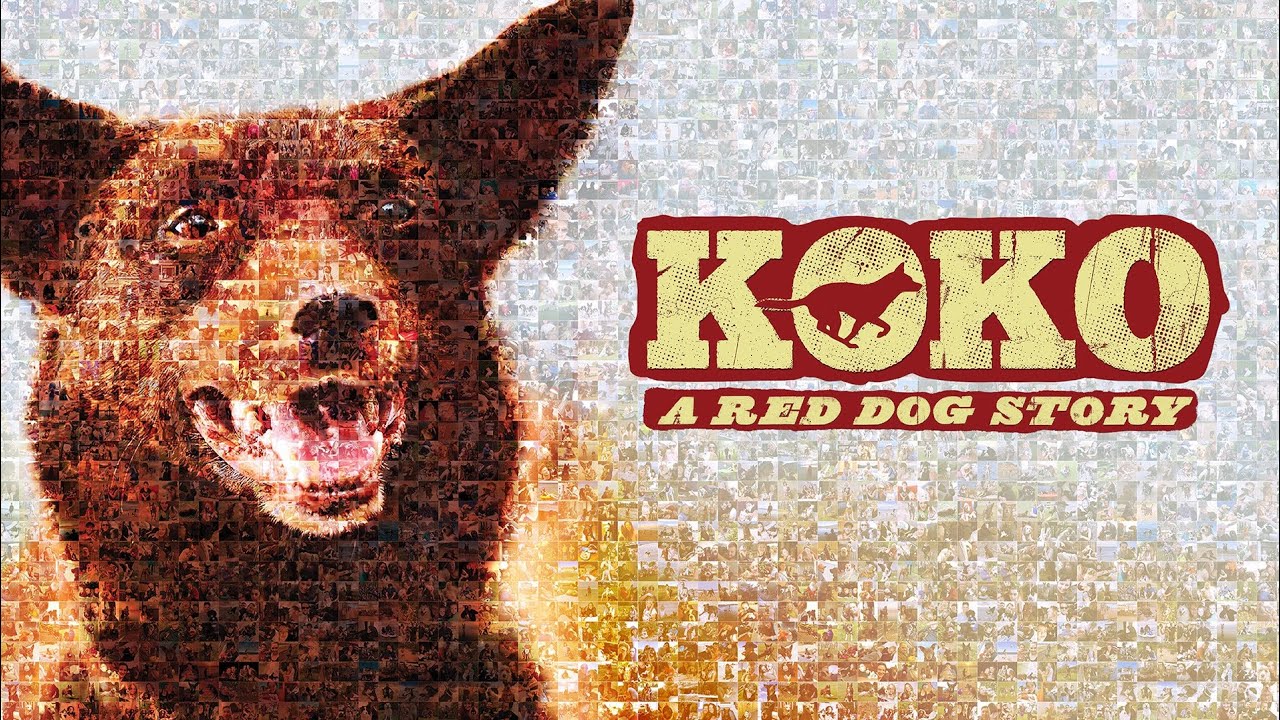 Koko: A Red Dog Story | Trailer (2023) - YouTube