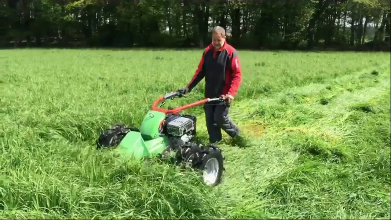 Rapid MONTA - YouTube