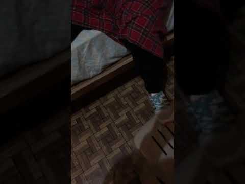 My wife's feet in adidas