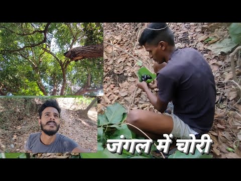 जंगल में चोरी #bhoka #bhoka #sonurajvlog #sonurajvlog - YouTube