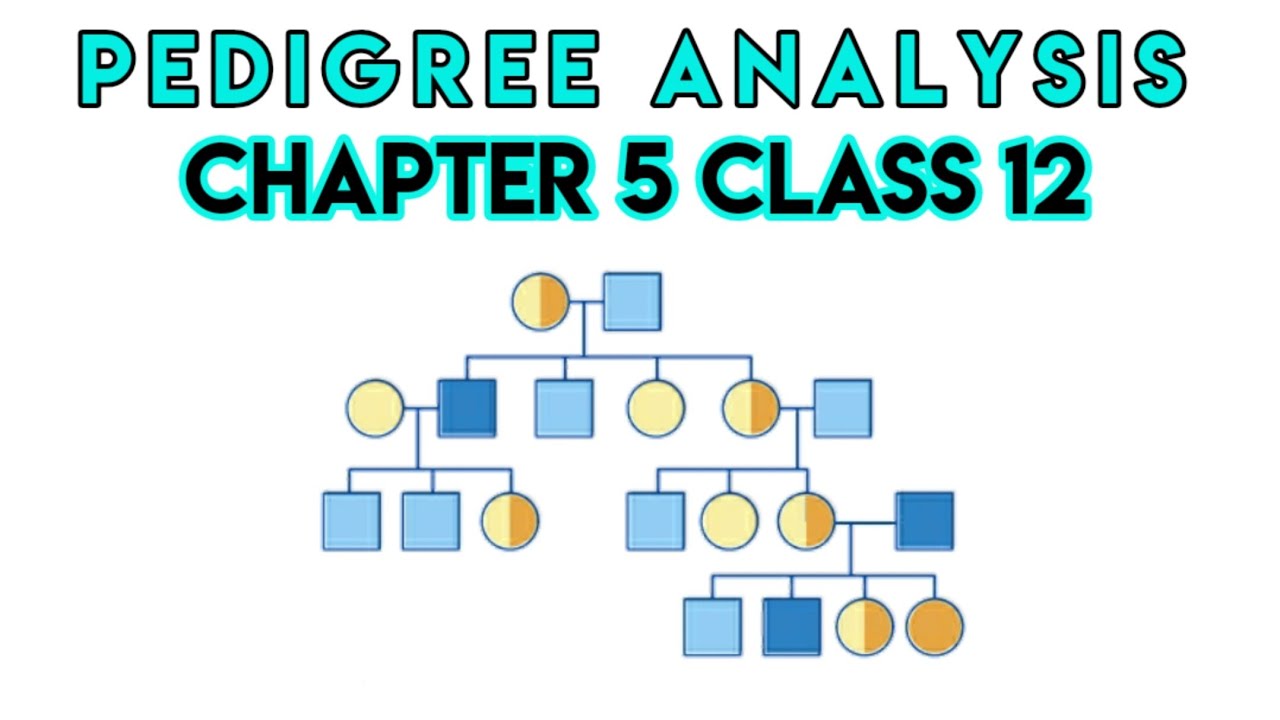 Pedigree analysis || Chapter 5 || Class 12 Science || RD Classes ...