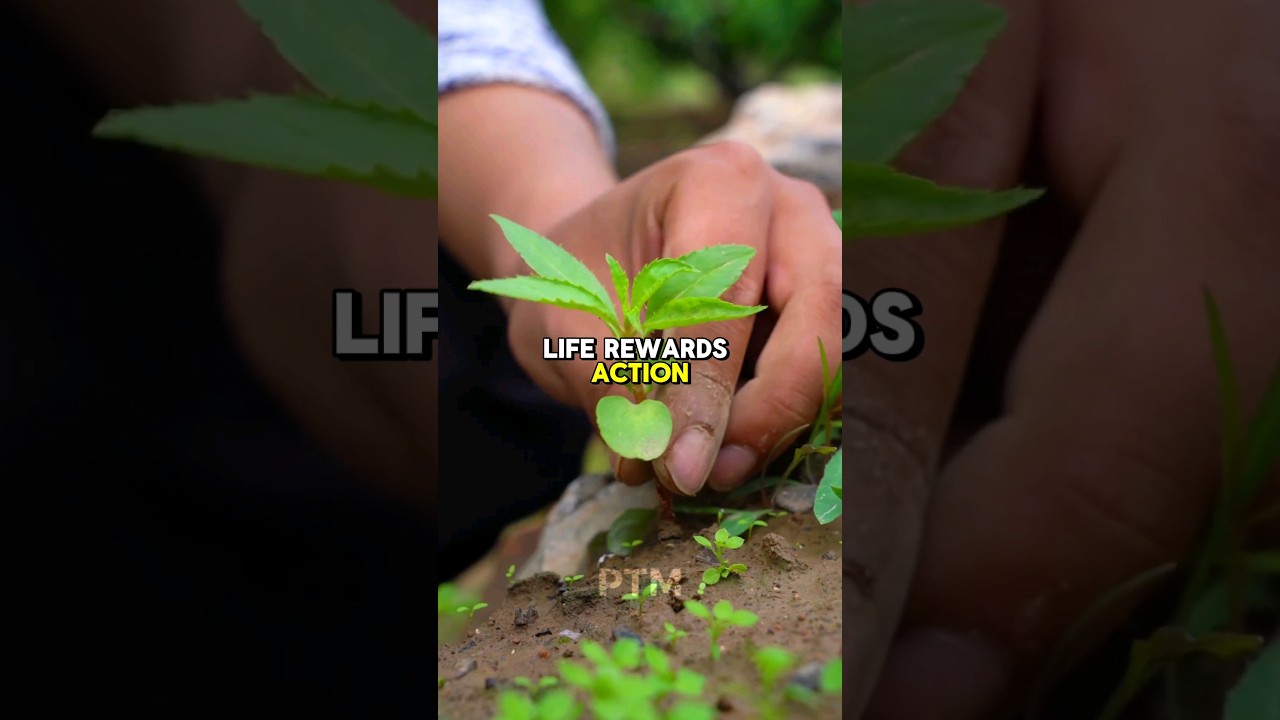 LIFE REWARDS ACTION!!! #shorts #motivation #foryoupage - YouTube