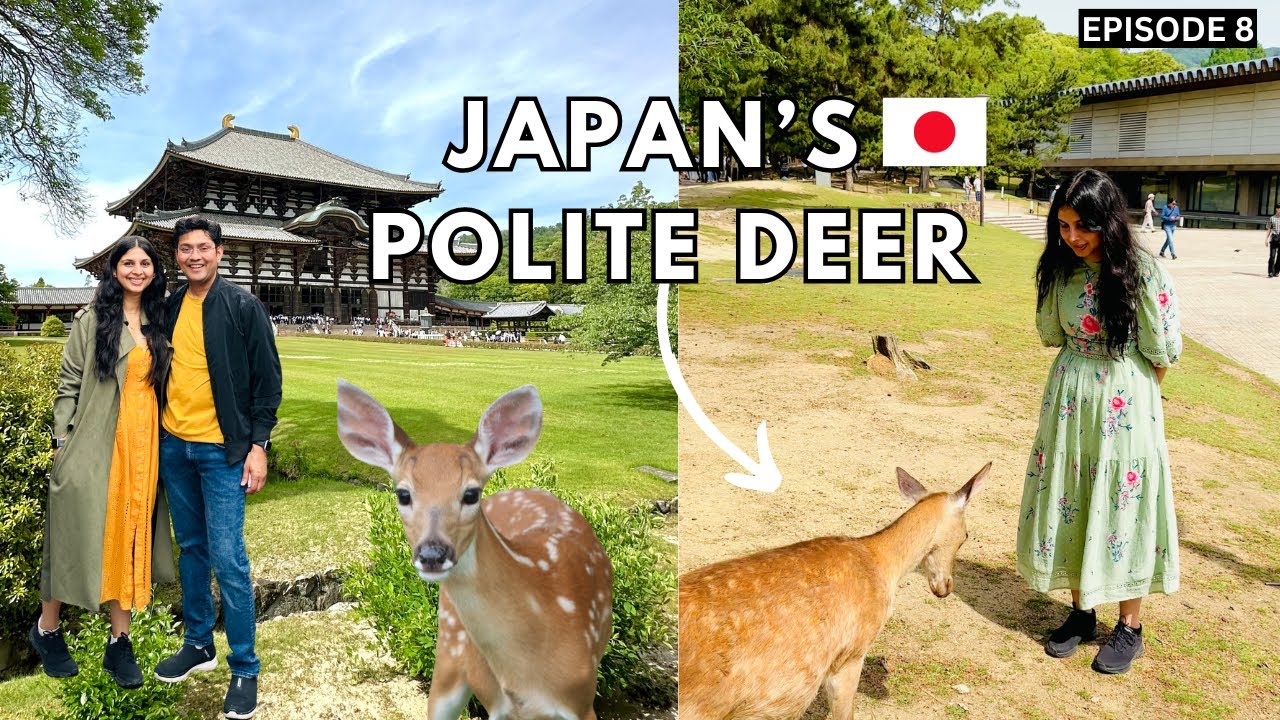 Day Trip To Nara | 100 Years Old Japanese Home Tour In Kyoto | Japan ...