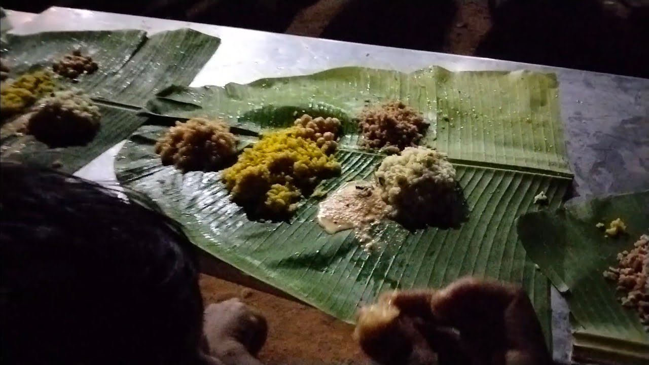 My Village Festival Virunthu ‼️ - YouTube