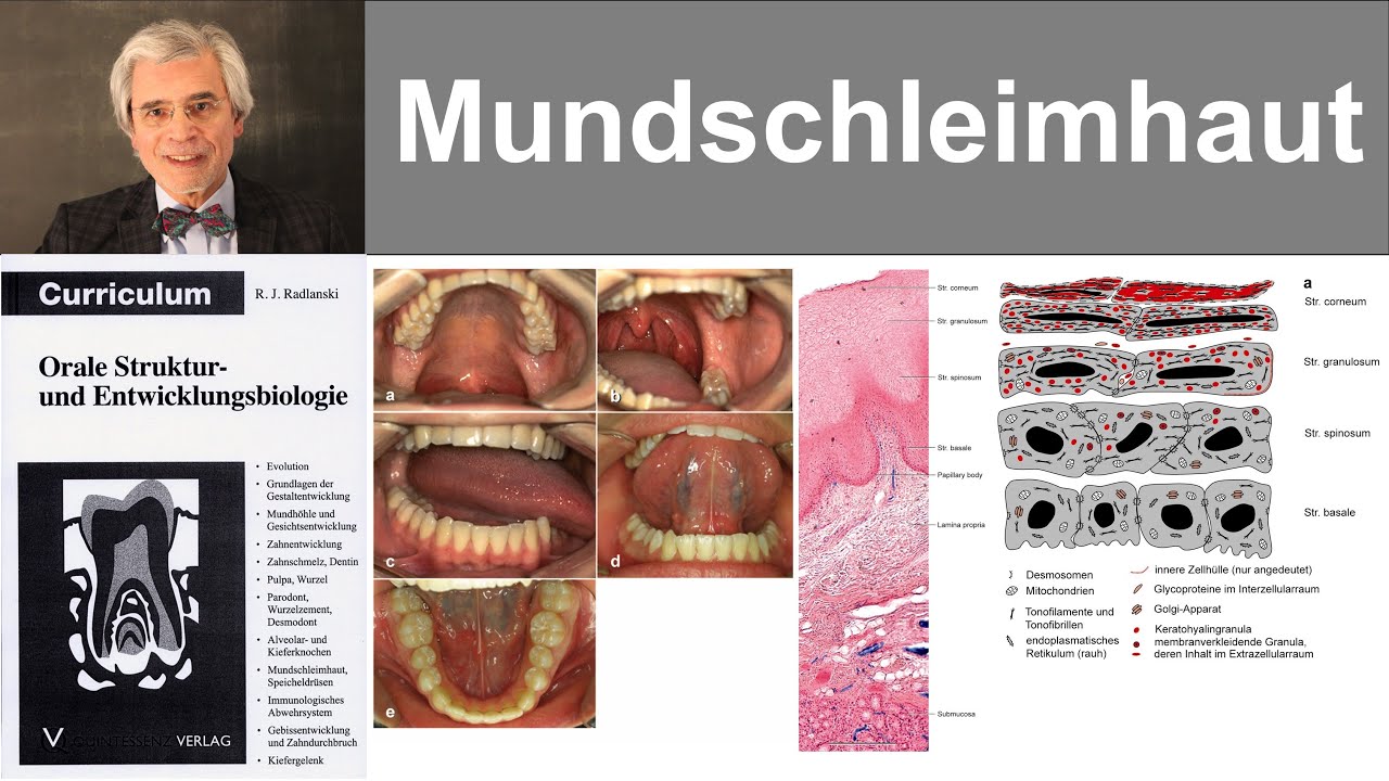 14 Mundschleimhaut - YouTube