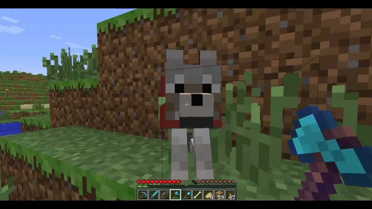 Wolf Taming!: Minecraft Multiplayer Adventures #3 - YouTube