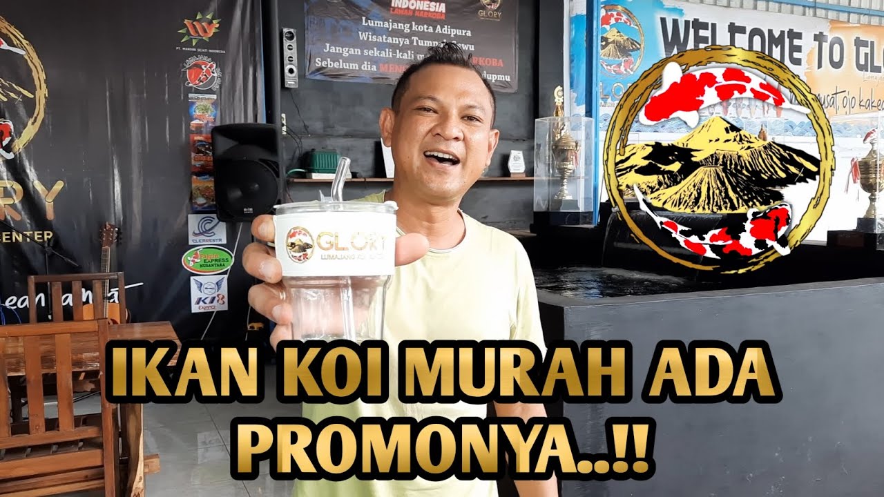 PROMO MENARIK‼️ BELI IKAN KOI DAPAT MERCHANDISE - YouTube