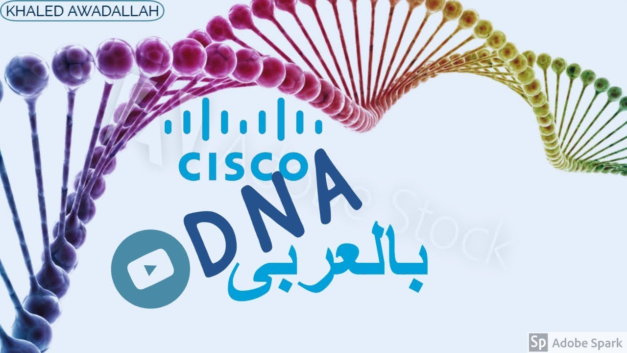 DNA#3 - Cisco DNA 🧬 components - Part 2 - بالعربى - YouTube