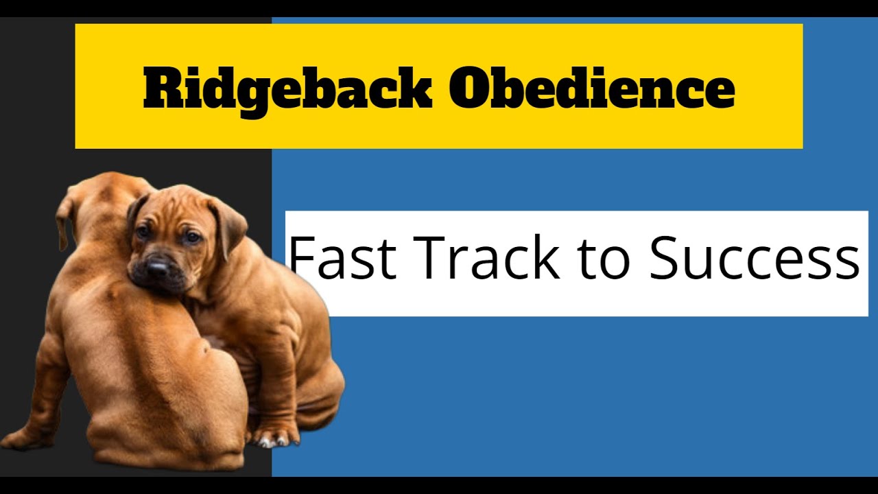 Ridgeback Obedience 101: Building Bonds and Breaking Bad Habits - YouTube
