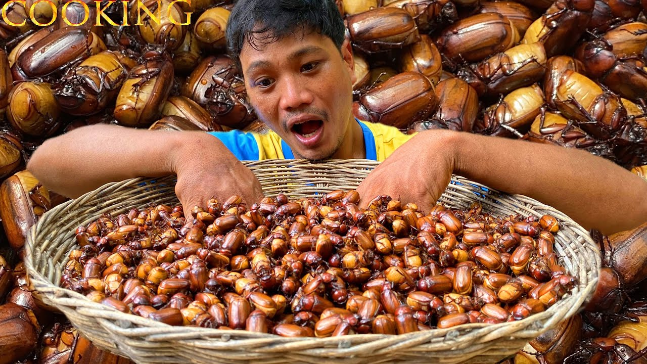 FINDING June Beetles Underground & Cooking Edible Insects, Eating Show ...