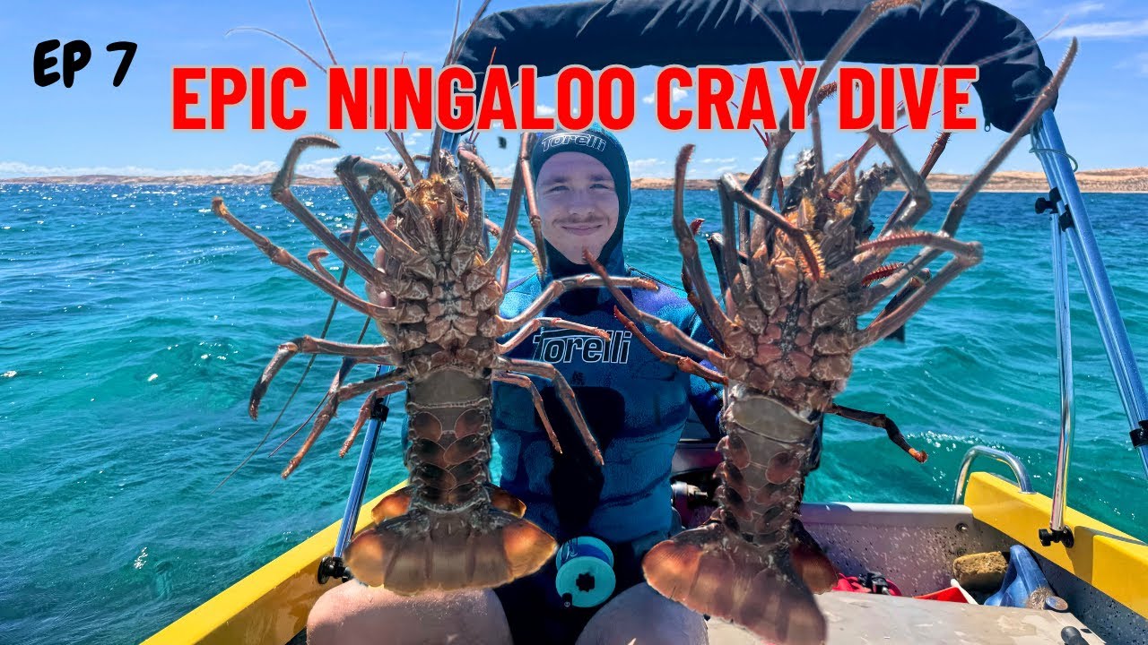 14 MILE EPIC CRAYFISH DIVING ! CATCH & COOK | WARROORA STATION | EP 7 ...