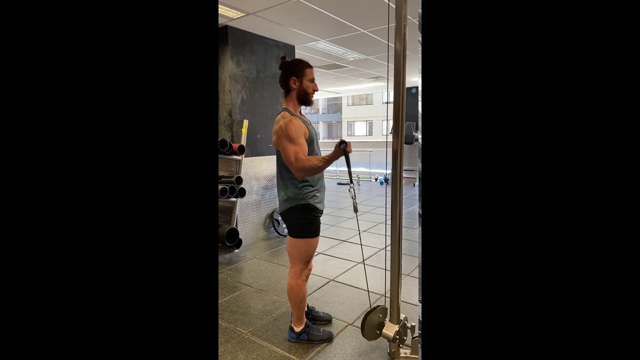 Single arm cable biceps curl (supinated) - YouTube