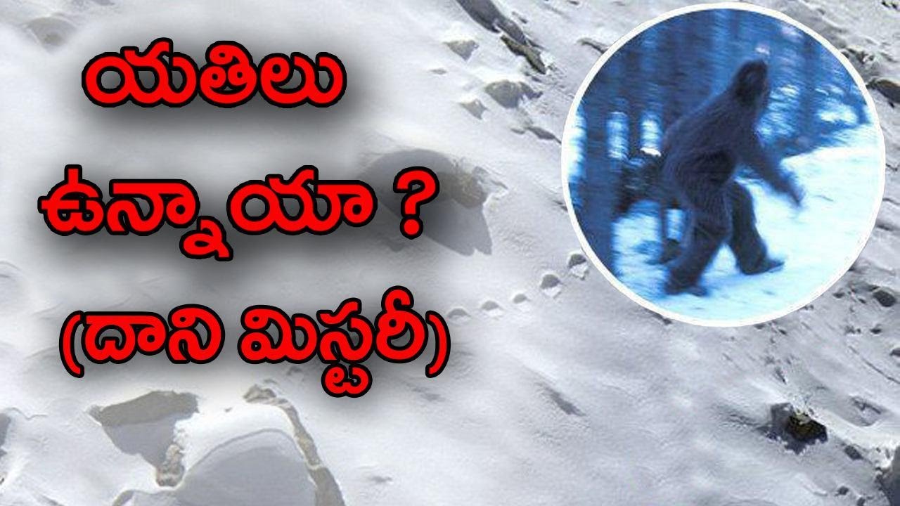 Yeti Living At Himalayas? Real Or Not||Watch Some Real Facts Found ...