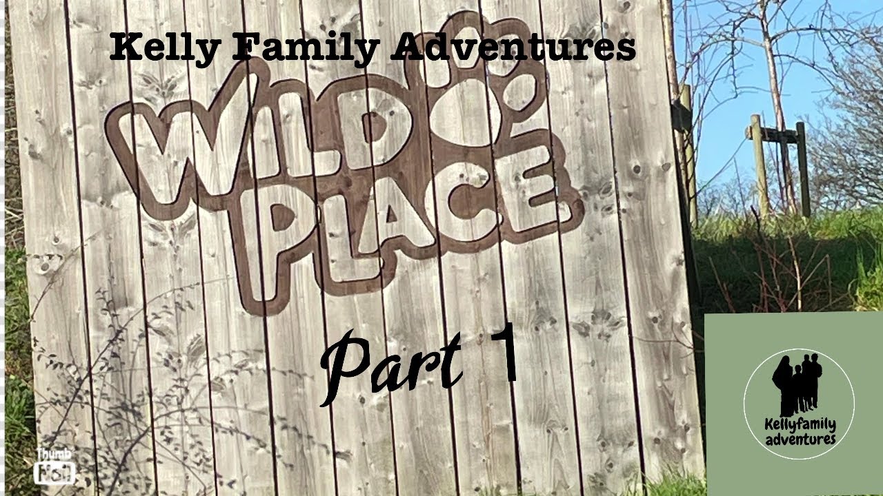 The Wild place project Bristol part one - YouTube