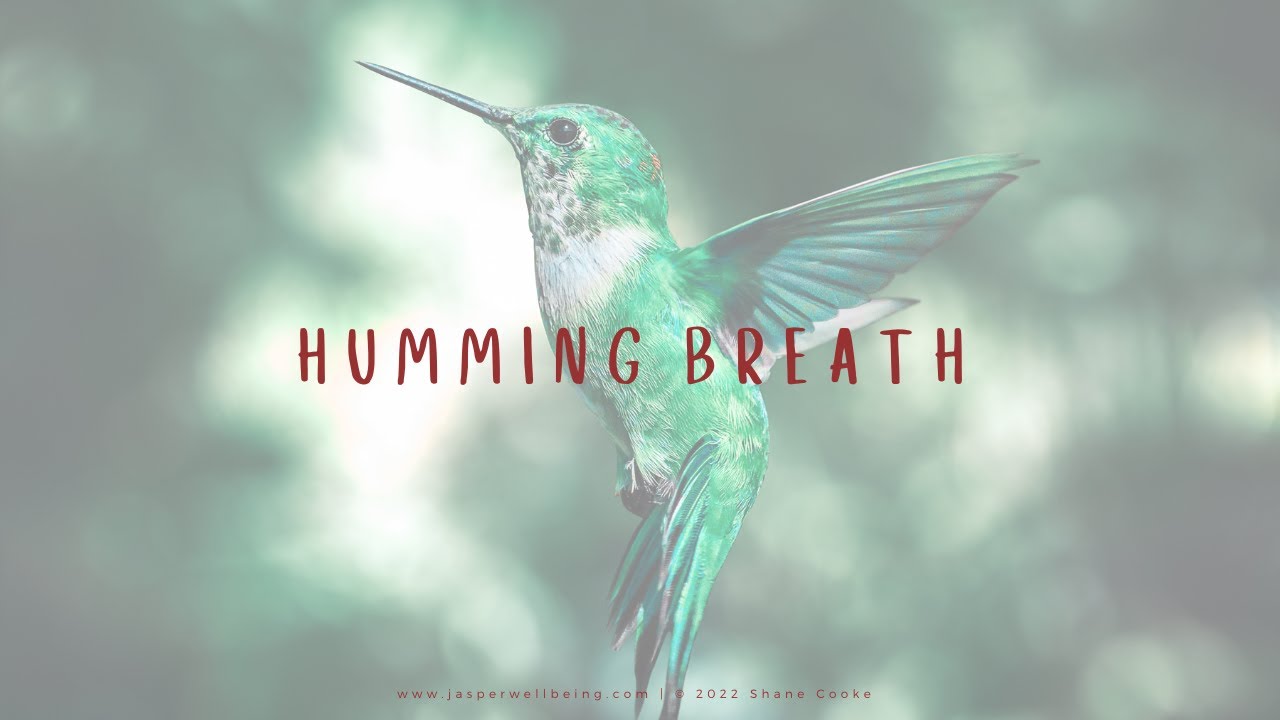 HUMMING BREATH ADAPTED FROM BHRAMARI PRANAYAMA FOR NITRIC OXIDE ...