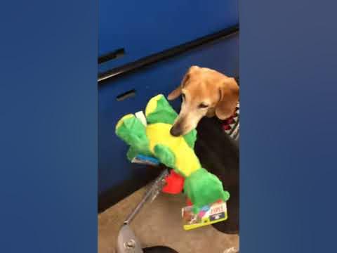 Trim 17ff644e C930 46df A412 E32f6d510b47 - Youtube