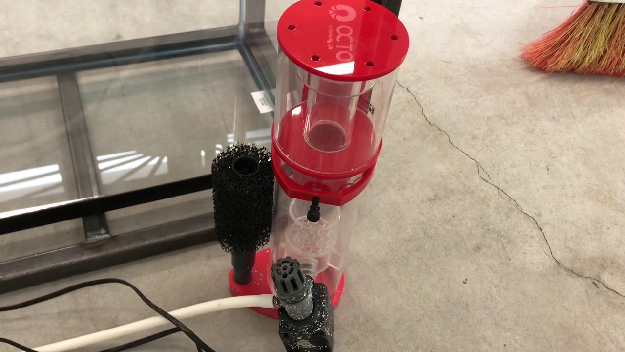 Small Frag Tank Build Part 1 - YouTube