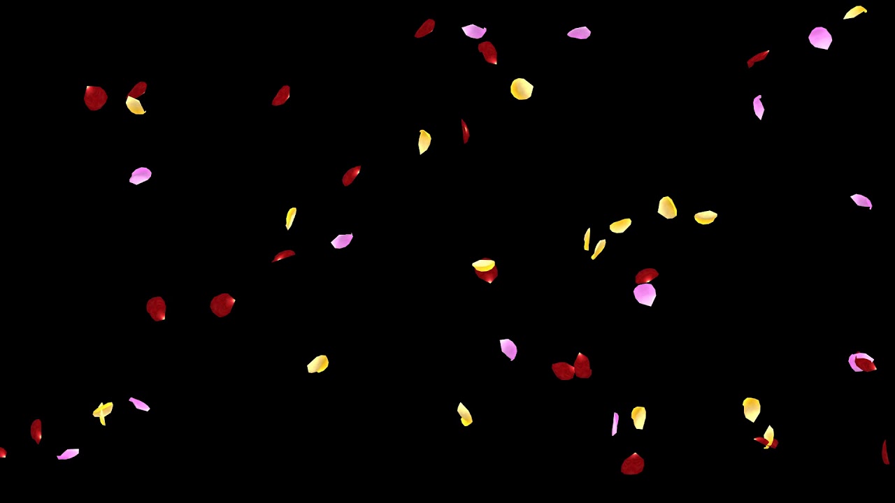 Falling Rose Petals Mix HD Animation - YouTube
