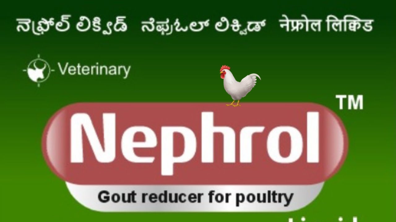 Nephrol Liquid For Gout Reducer in Broilers - YouTube