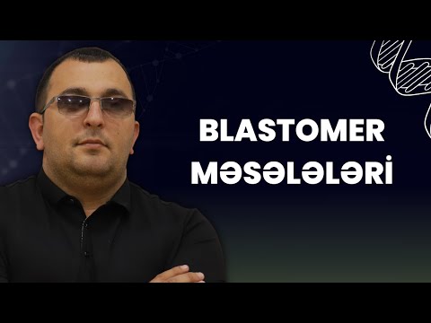 Biologiya -Blastomer məsələləri