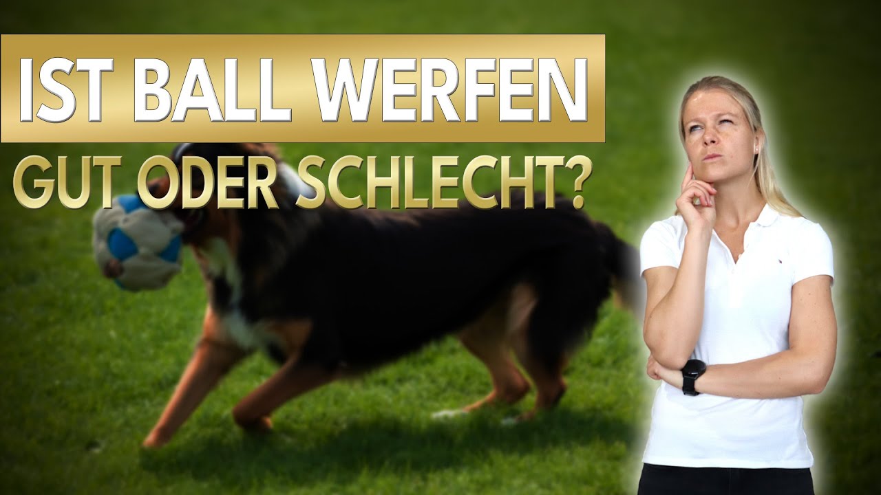So spielst du mit deinem Hund RICHTIG Ball! - YouTube