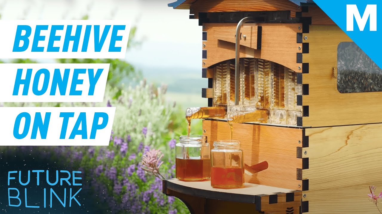 This Smart Beehive Harvests Honey Automatically | Future Blink - YouTube