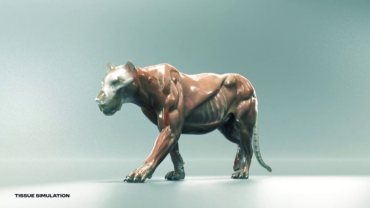 Zeke The Lion - Houdini Muscle Simulation - YouTube