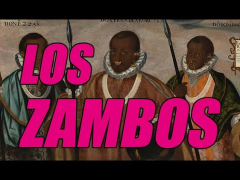 LOS ZAMBOS (QUÉ ESON LOS ZAMBOS Y CUÁLES SON SUS CARACTERÍSTICAS ...
