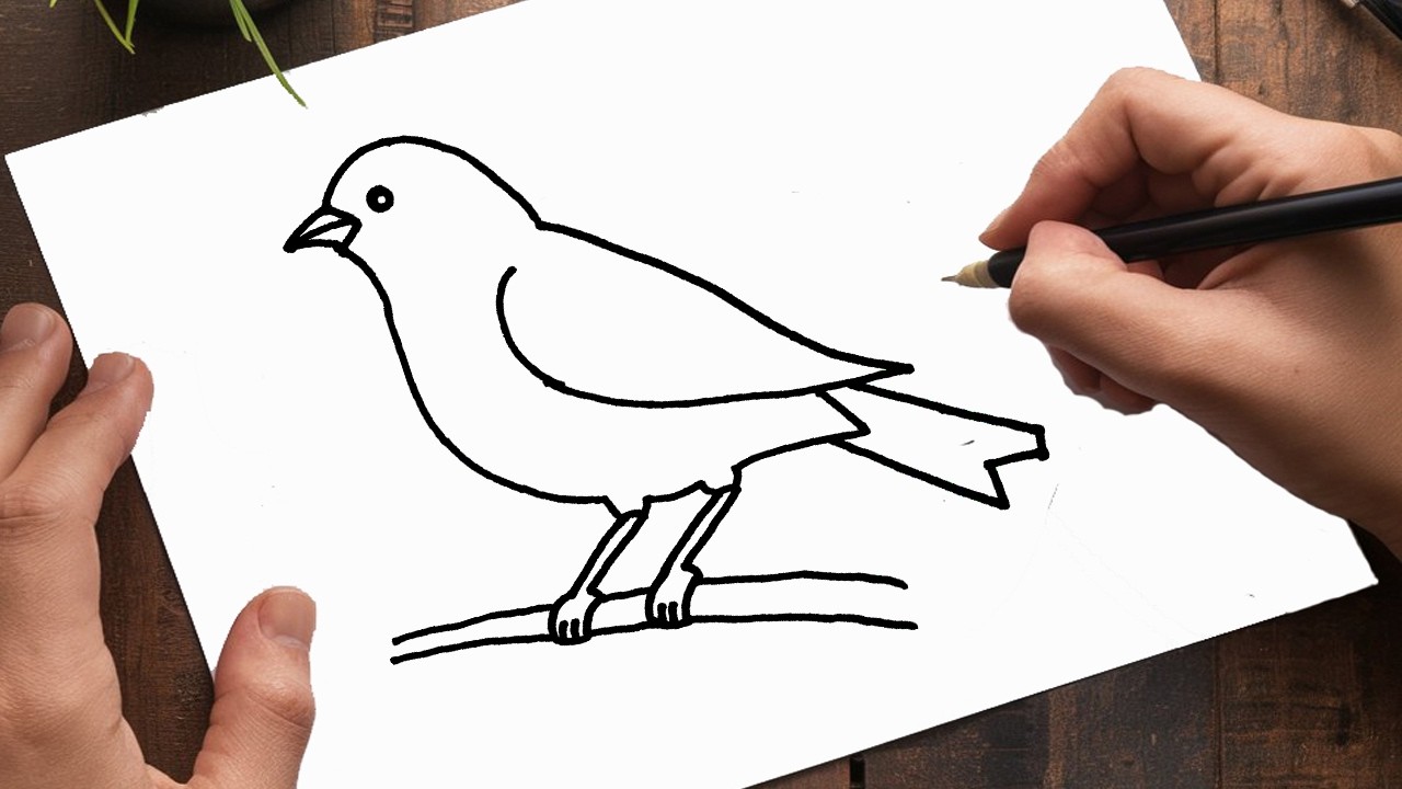 How To Draw A Bird | Drawings Of Birds Easy | Simple Pencil Drawing ...